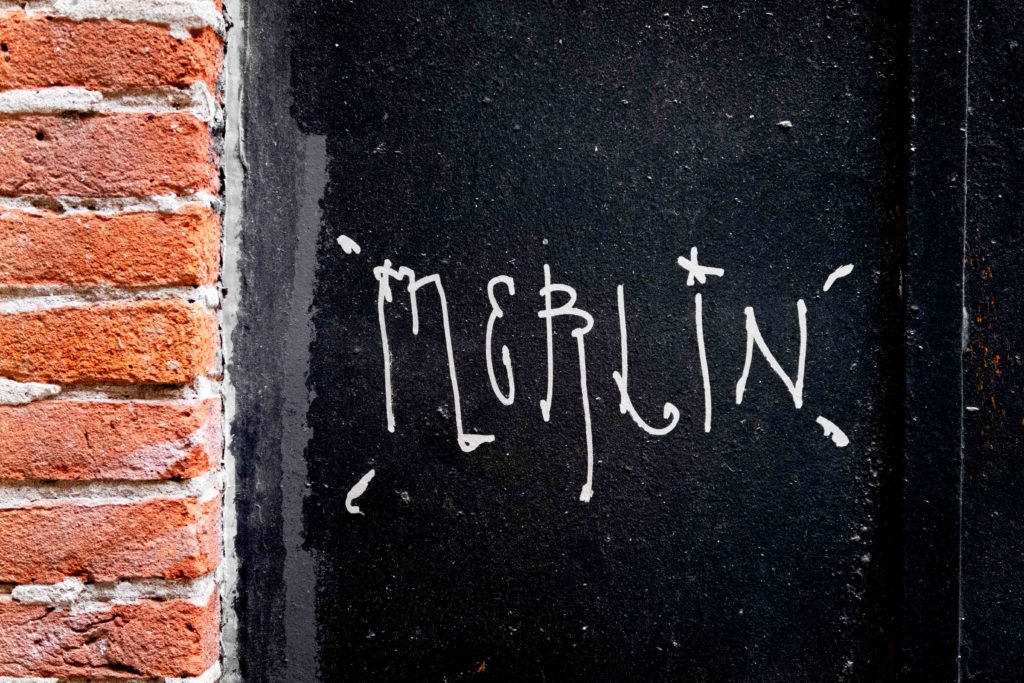 Merlin - street art - Toulouse Magazine